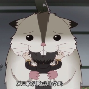 森林贤王qvq 