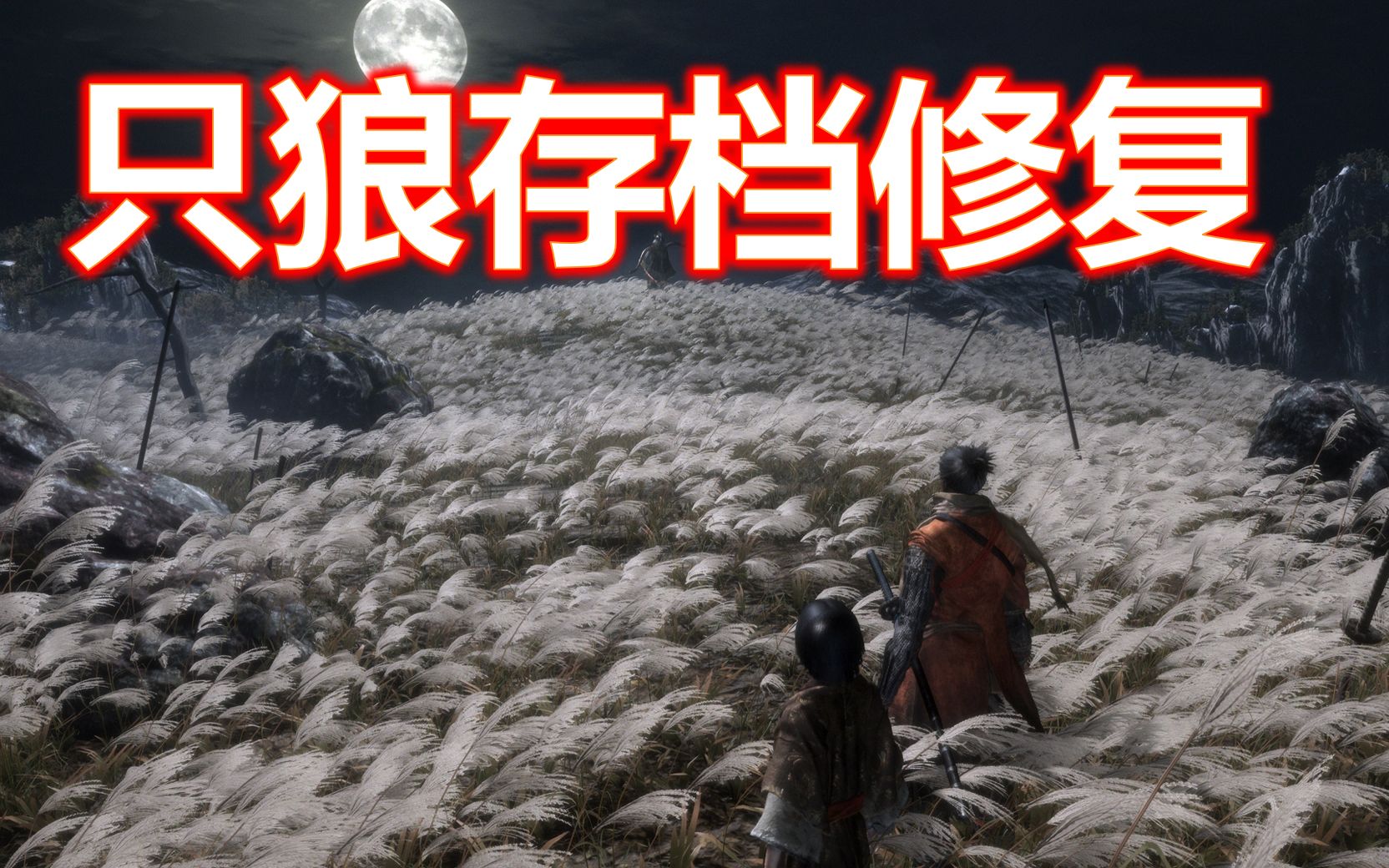只狼存档修复方法(含解说和资源)