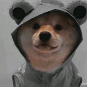 可恶的生之花 