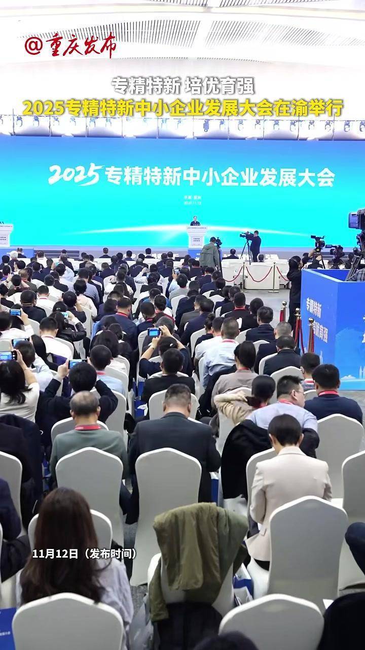 11月12日至13日,2025专精特新中小企业发展大会在渝举行。大会聚焦...