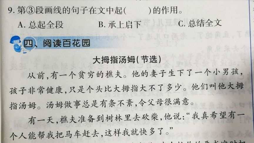 小学阅读专项训练:资深老师教你一招,快速掌握句子的作用