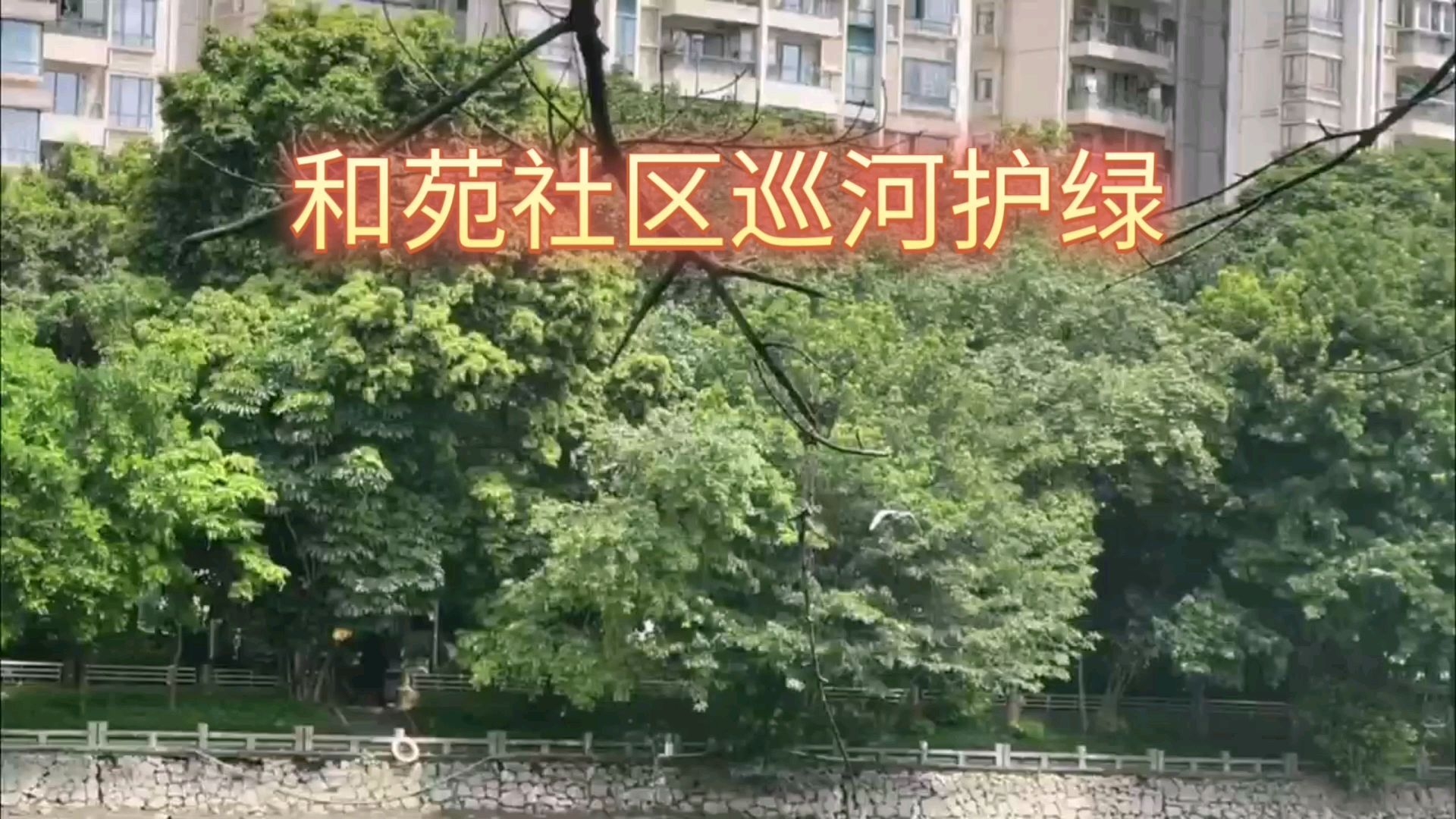 和苑社区巡河护绿,青山公益生态环境志愿服务