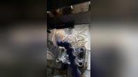 幕墙弹簧插销 不锈钢弹簧销钉 铝型材横梁弹簧销钉 销钉生产