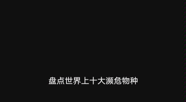 盘点世界十大濒危物种,一定要看完,点进来看看