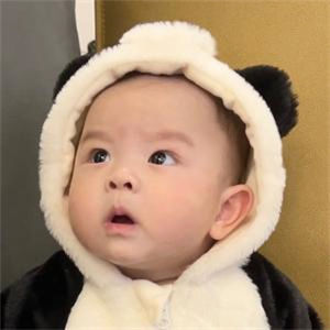 博博小盆油 