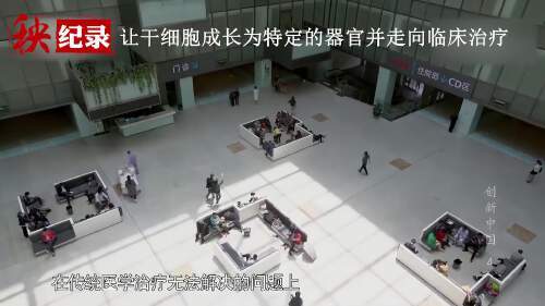 人体拥有200万亿个细胞,多功能诱导干细胞可以分化成其中任何一种模样