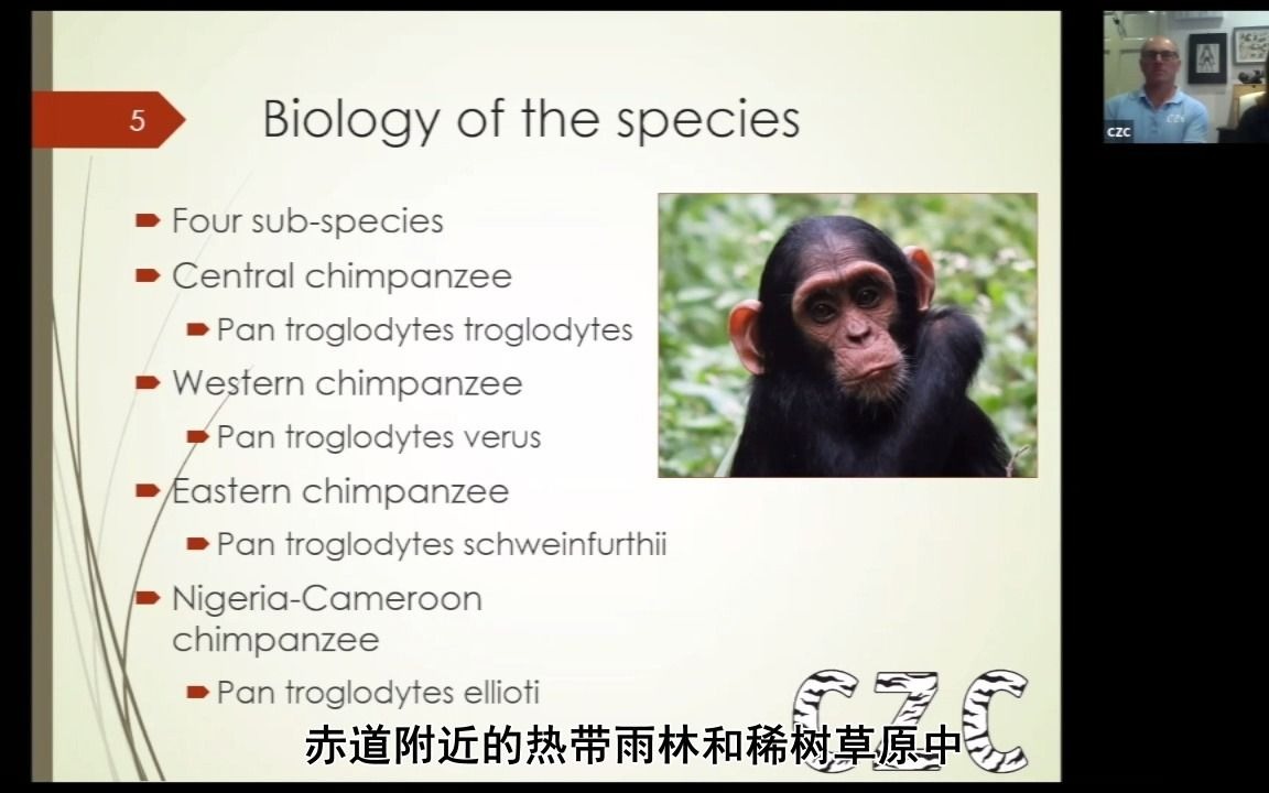 黑猩猩饲养管理和福利