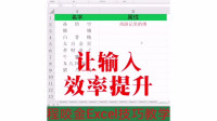 白领 职场人员必看 快速学会Excel 快速输入