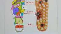 ...养生拖鞋按摩鞋石头天然鹅卵石足底防滑砭石脚底足疗穴位保健硬刺