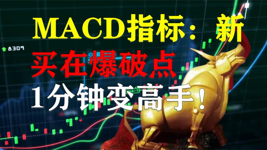 炒股,新MACD指标精准抄底逃顶!1分钟变高手!