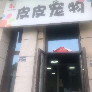 皮皮宠物噢 
