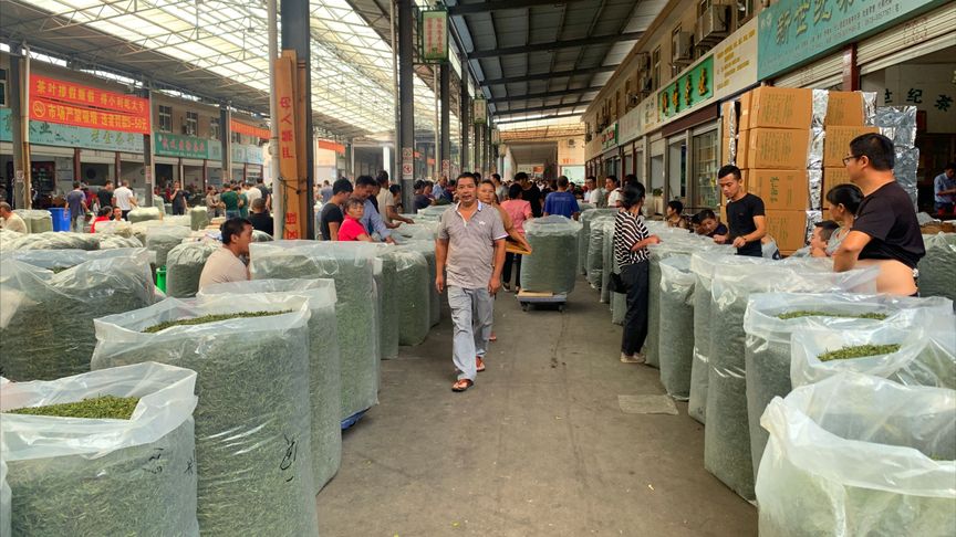 陈茶还能继续喝吗?这几个点要注意了,这样的茶一定不能喝