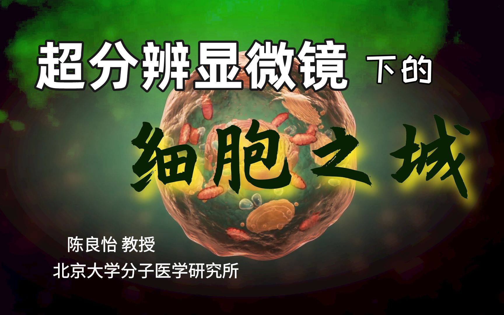 超分辨显微镜下的细胞之城—生物物理学会科普访谈系列