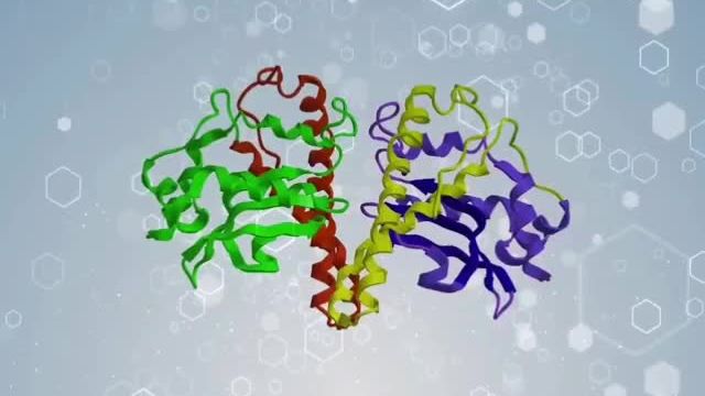 刺梨富含SOD～超氧化物歧化酶的功效介绍