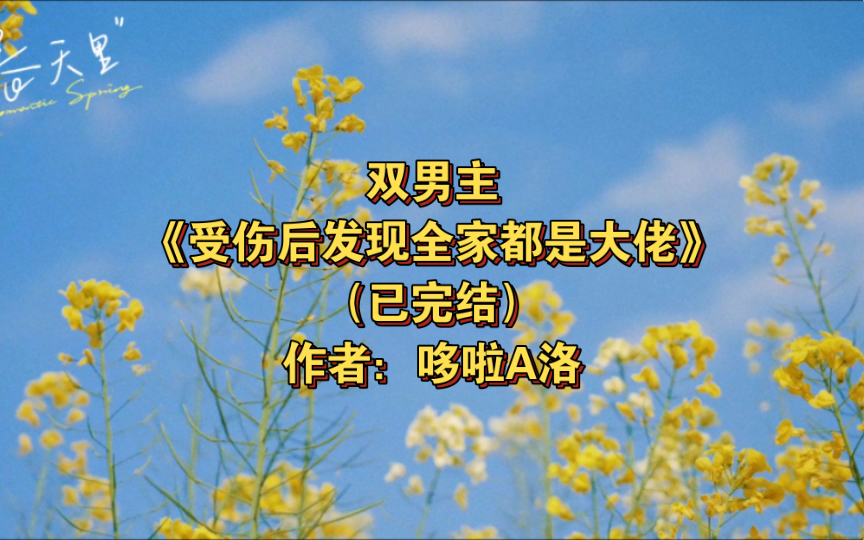 双男主《受伤后发现全家都是大佬》已完结 作者:哆啦A洛,主受 打脸 ...