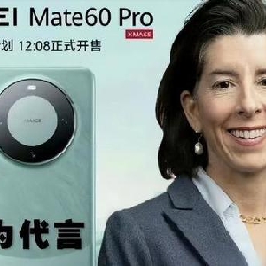 小鱼鱼9527 