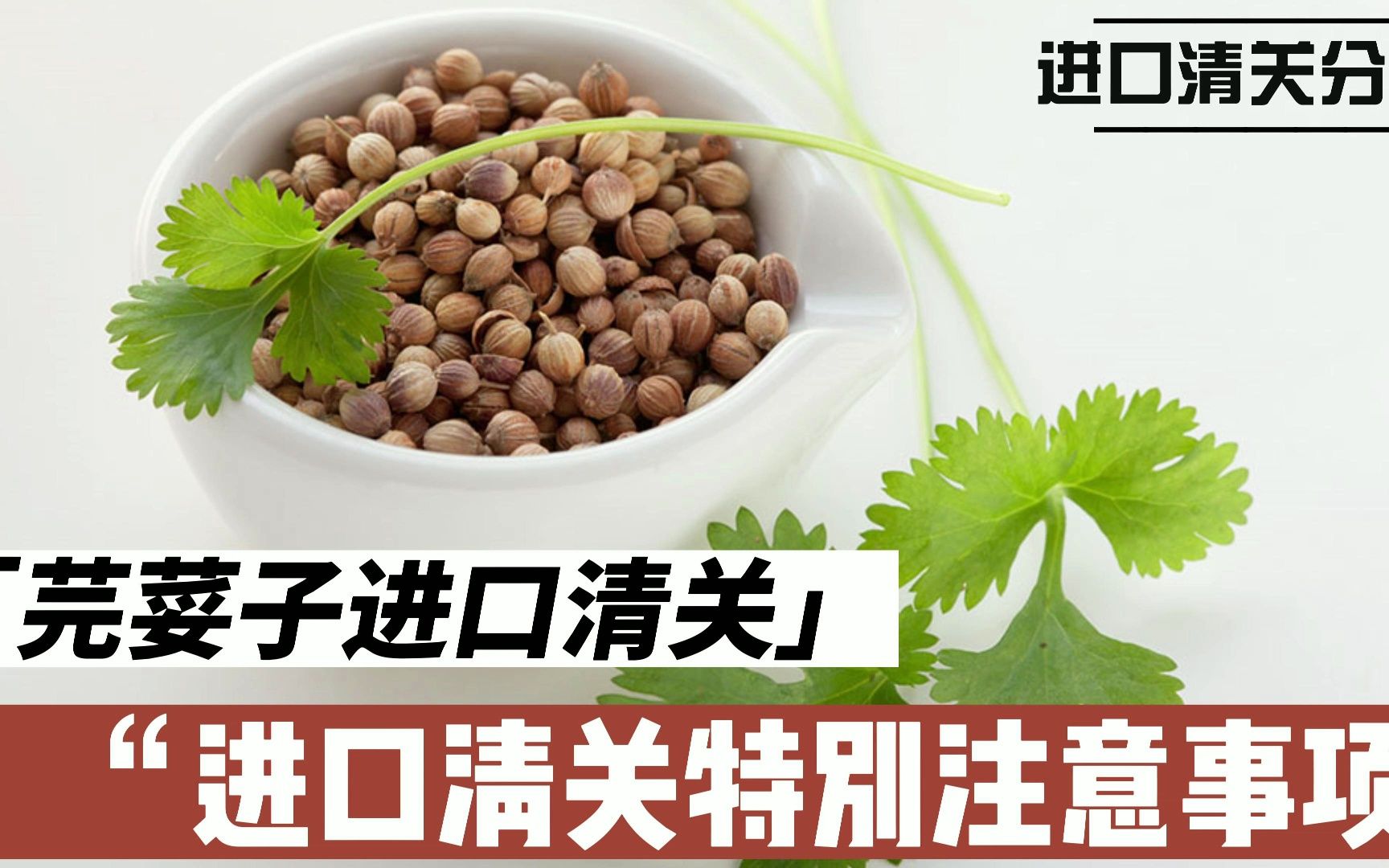 恭喜你,刷到我的你今日要发!芫荽子进口清关操作流程分享,别划走,最后...