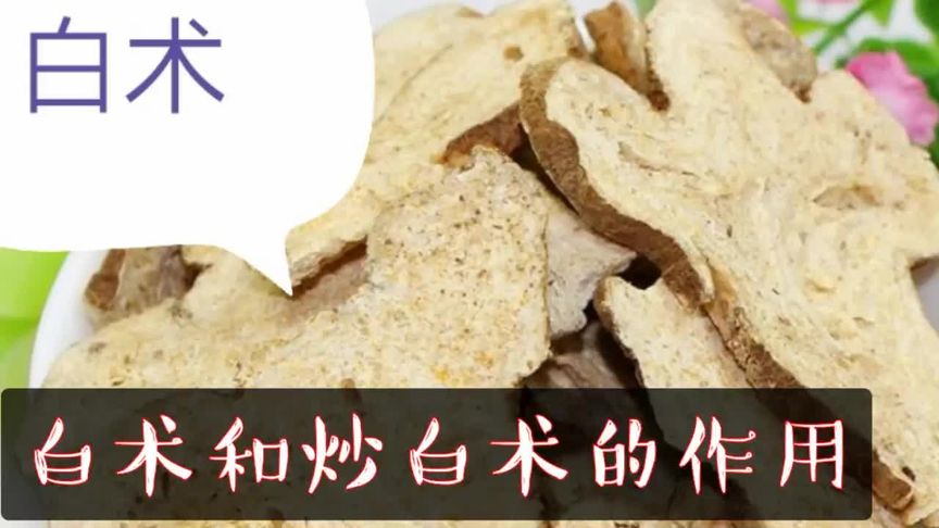 白术和炒白术,功效不同,用法不同,别搞混了