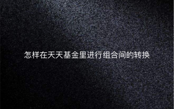 怎样在天天基金里进行组合间的转换