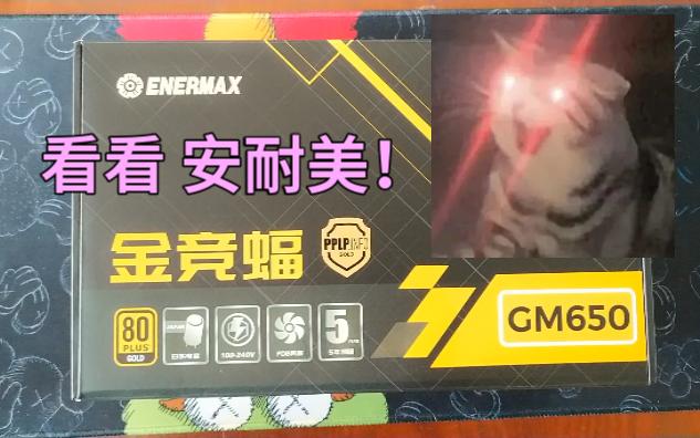 来一起看看 329元的 安耐美 金竞蝠 GM650 金牌全模组 ATX电源!