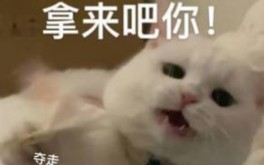 浏览器被恶意篡改怎么办