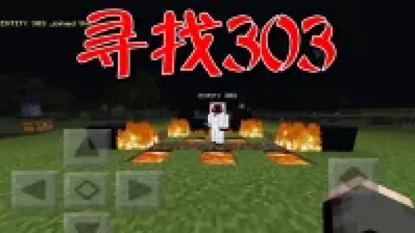 我的世界:半夜3点召唤实体303,民间流传的版本,真是恐怖!
