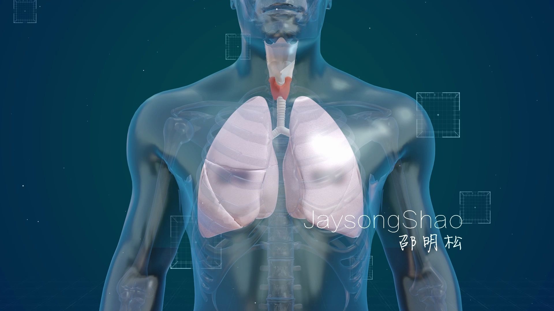 模型包第70套小案例肺炎的危害【案例说明】