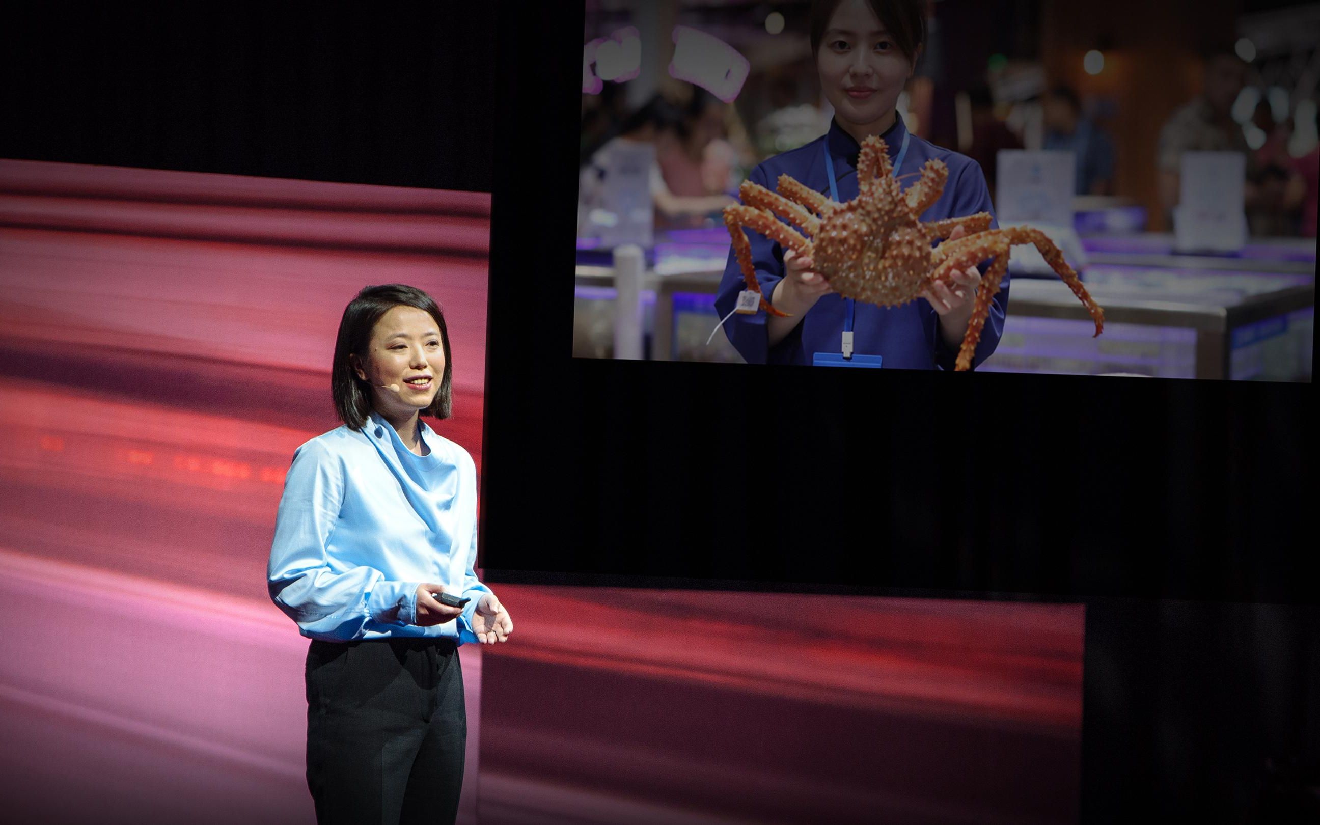 【TED 演讲视频】中国如何改变购物的未来