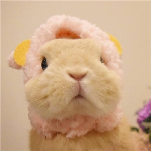 小欣biubiubiu 