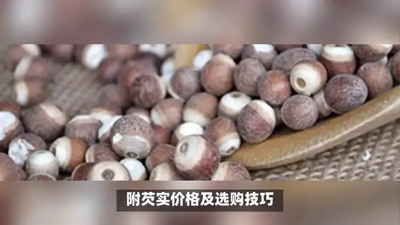 芡实在哪里买得到附芡实价格及选购技巧!