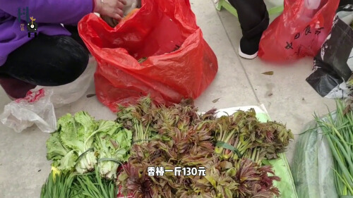 香椿一斤130元,三个月能赚18万 ,为何在农村却很少人种?