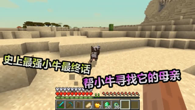 MC我的世界:小牛它又来了,我终于帮他找到了它的母亲,完美结束
