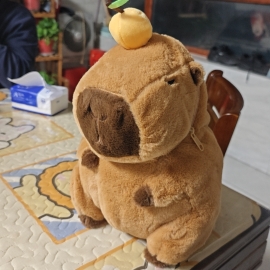 风若成你 