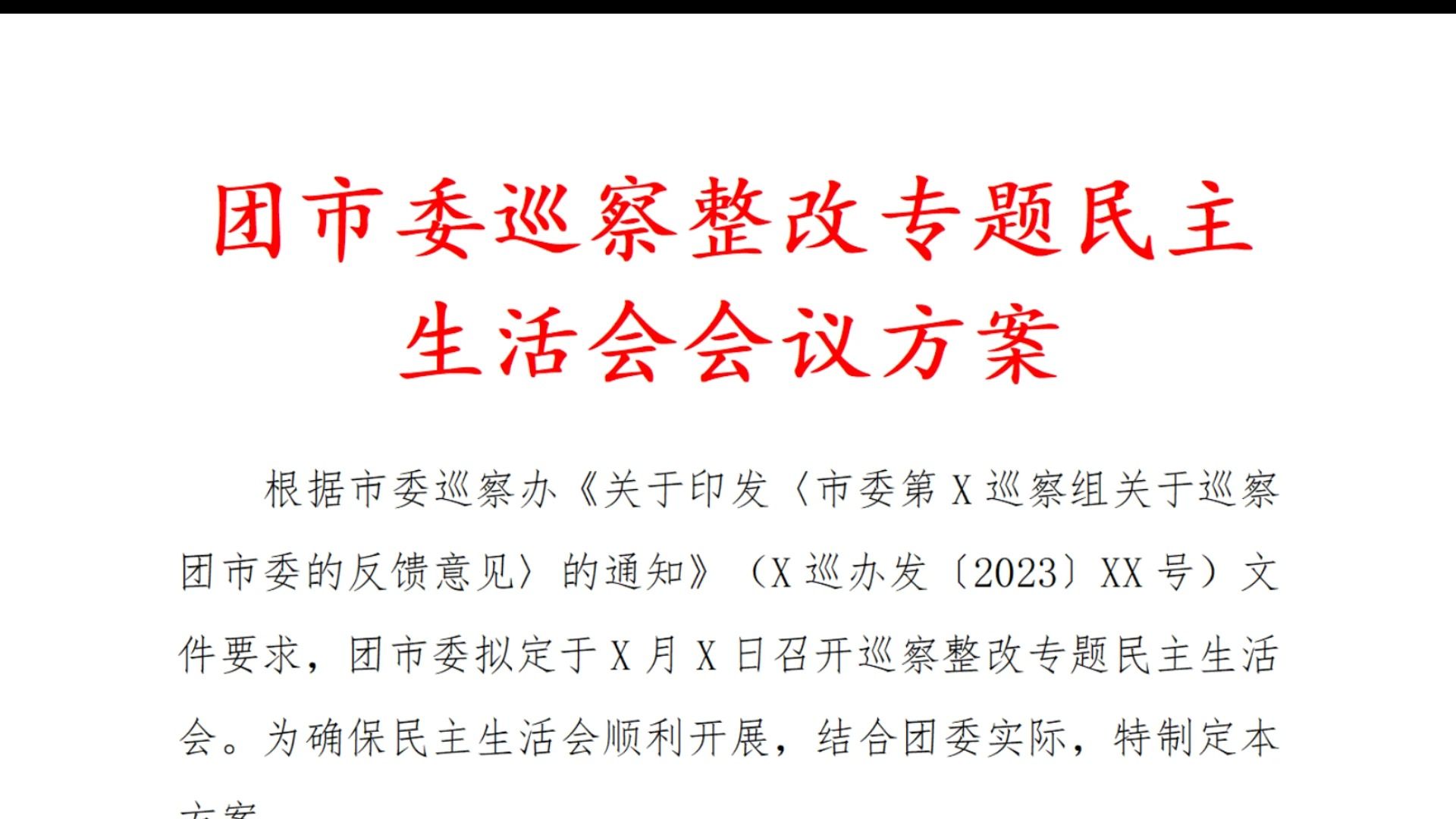 团市委 巡察 整改 专题 民主生活会 会议方案