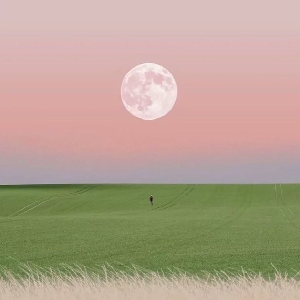 是噗噗老师 