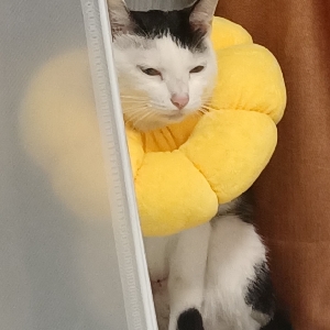 起灵儿1 