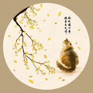 微笑星球y