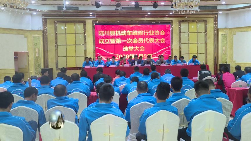 陆川县机动车维修行业协会成立暨第一次会员代表大会召开