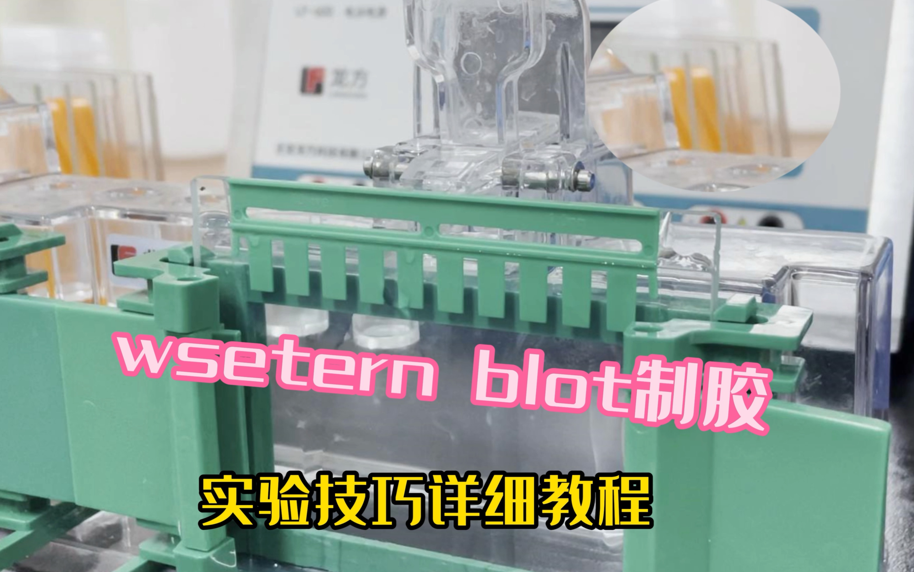 一次性学会WB制胶实验详细操作技巧-无需封胶
