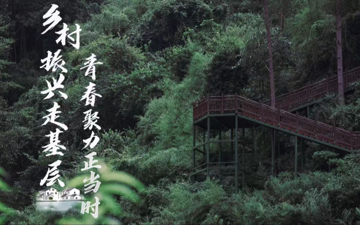 【4k】【三下乡】重庆大学“乡村振兴走基层,青春聚力正当时”...