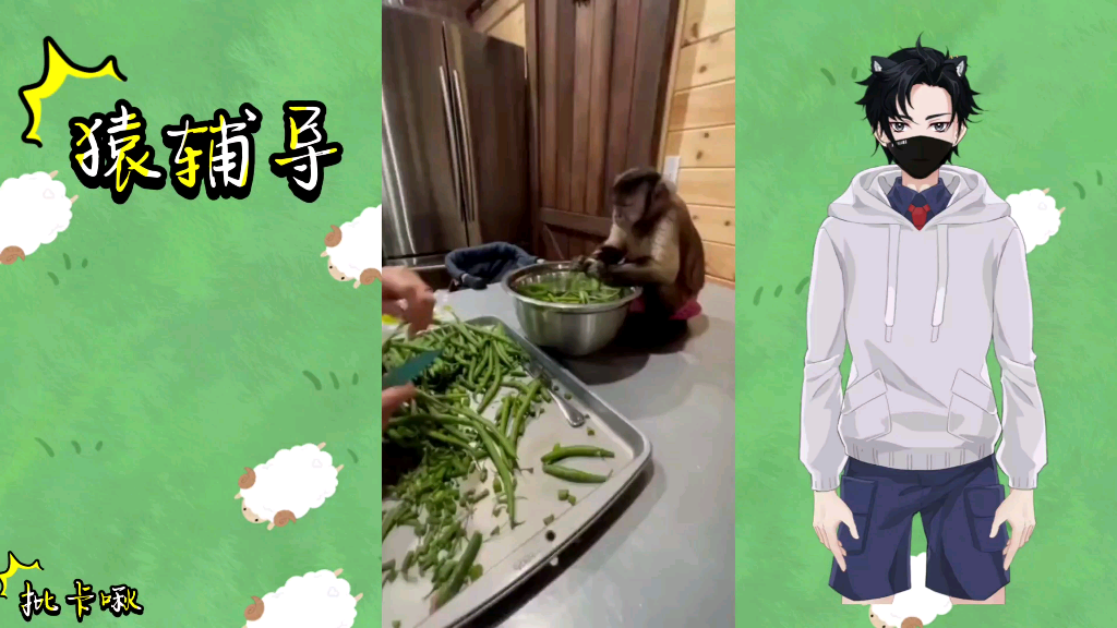 上网课就用猿辅导