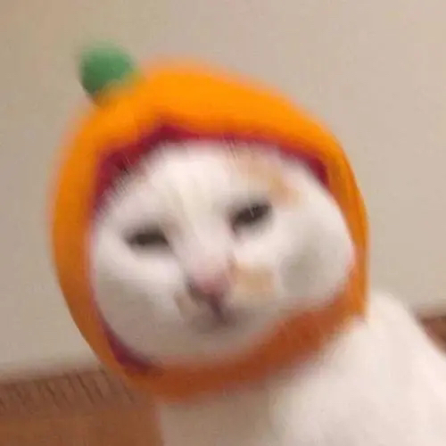 Mia小桃子 