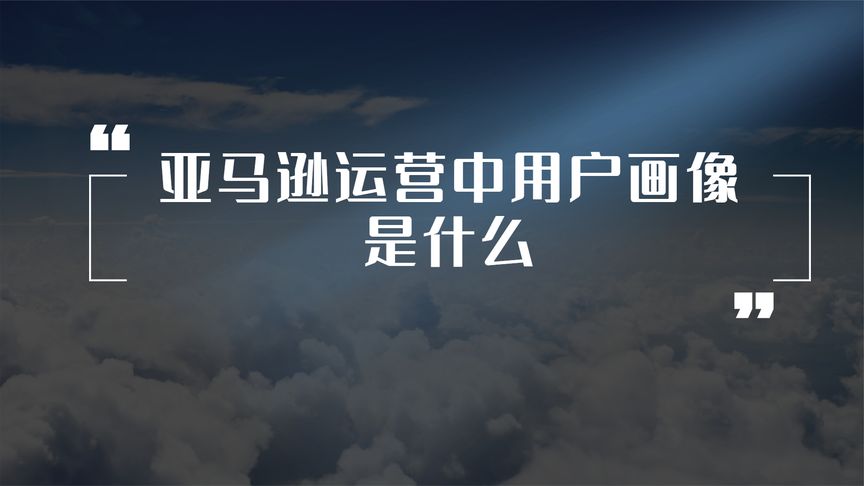 亚马逊运营的用户画像是什么
