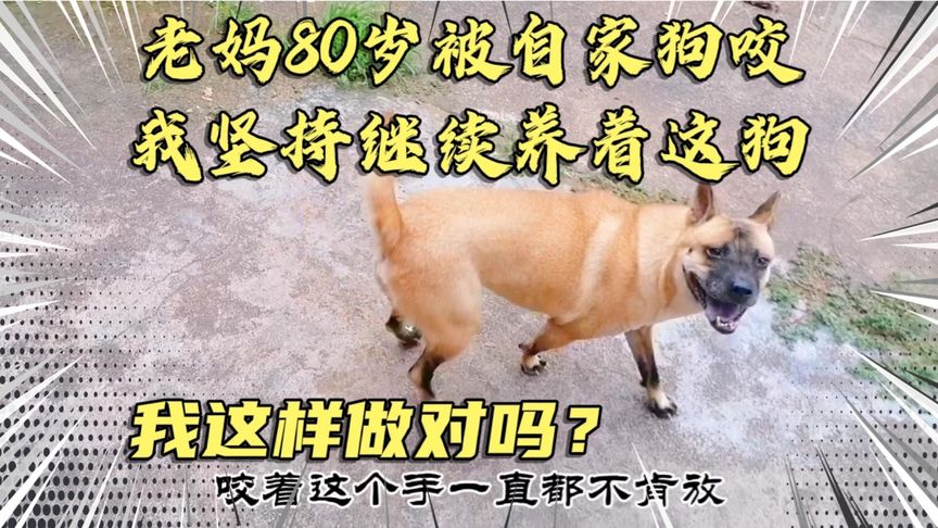 老妈80岁被自家养的狗咬了,为了80岁老妈的安全,我这样做对吗