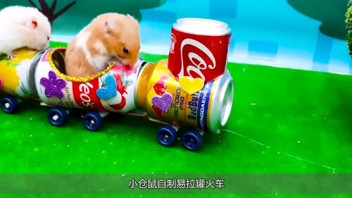 小仓鼠自制易拉罐火车,带着女友去兜风,太好玩了