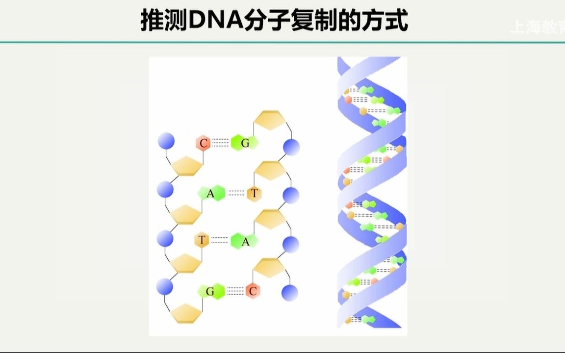 ...高一年级-第二学期-第6单元-遗传信息通过复制和表达进行传递①-W