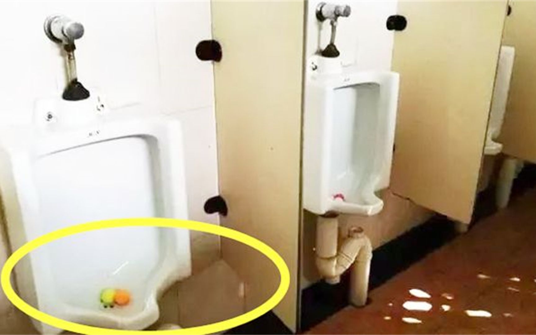 男厕小便池里的小球球,到底是什么东西?今天可算知道答案了