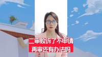 二审败诉不申请再审还有什么办法吗