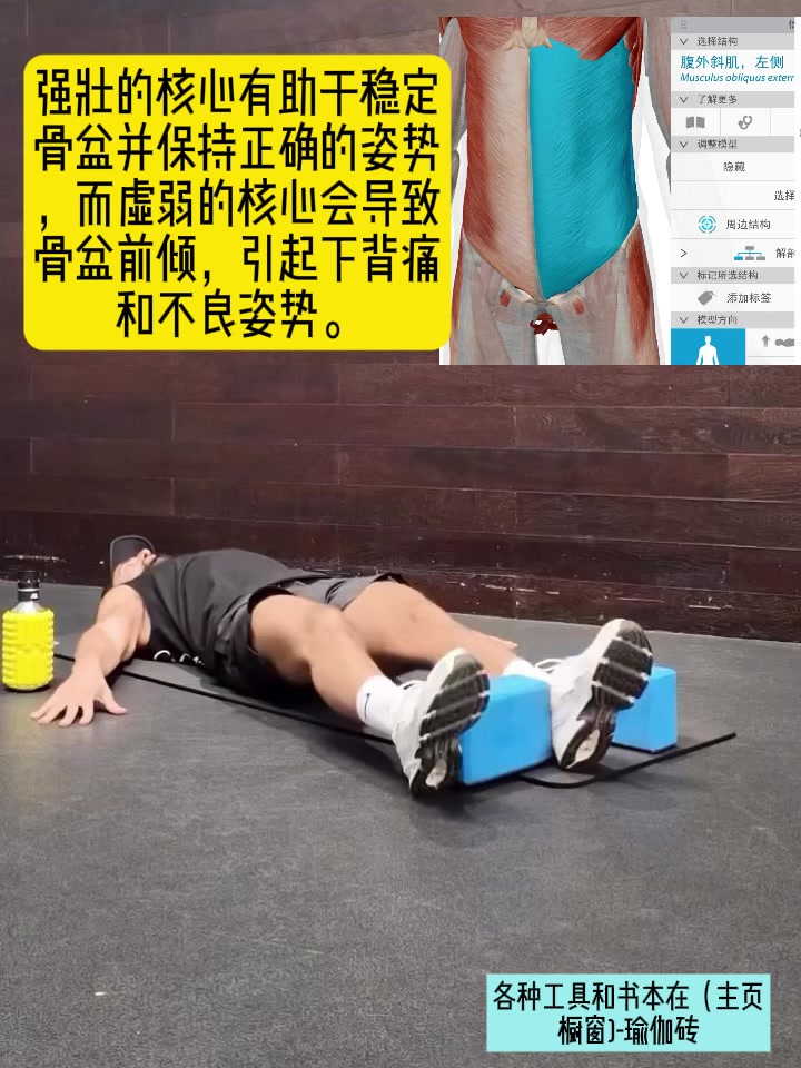 强壮的核心有助于稳定骨盆并保持正确的姿势 强壮的核心有助于稳定...