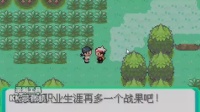 [口袋妖怪漆黑的魅影]第一期 我有一个修改器咿呀咿呀呦